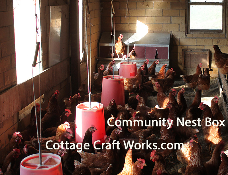 chicken nest boxes | Cottage Craft Works Blog