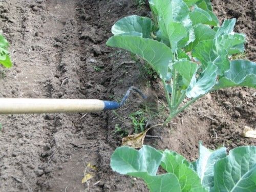 Amish Sickle Bar Tooth Lightweight Garden Hoe