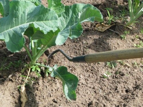 Amish Sickle Bar Tooth Lightweight Garden Hoe
