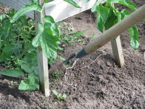 Amish Sickle Bar Tooth Lightweight Garden Hoe