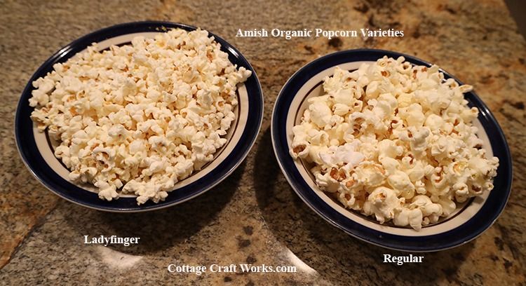 Amish Organic Ladyfinger Popcorn
