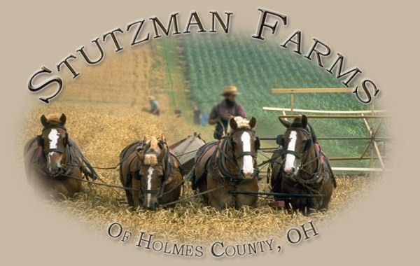 USA Organically Grown Stone Ground Ancient Einkorn Flour