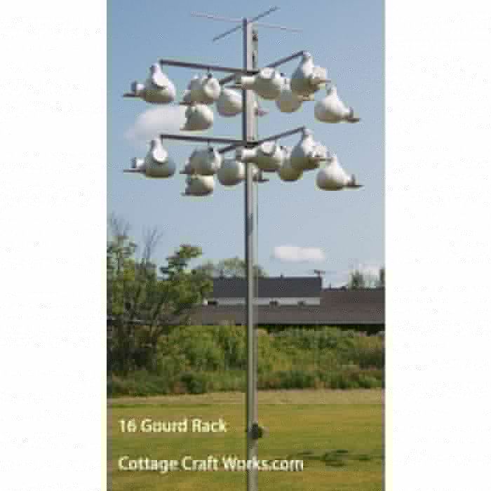 Purple martin gourd starter rack system hold 16 gourds.